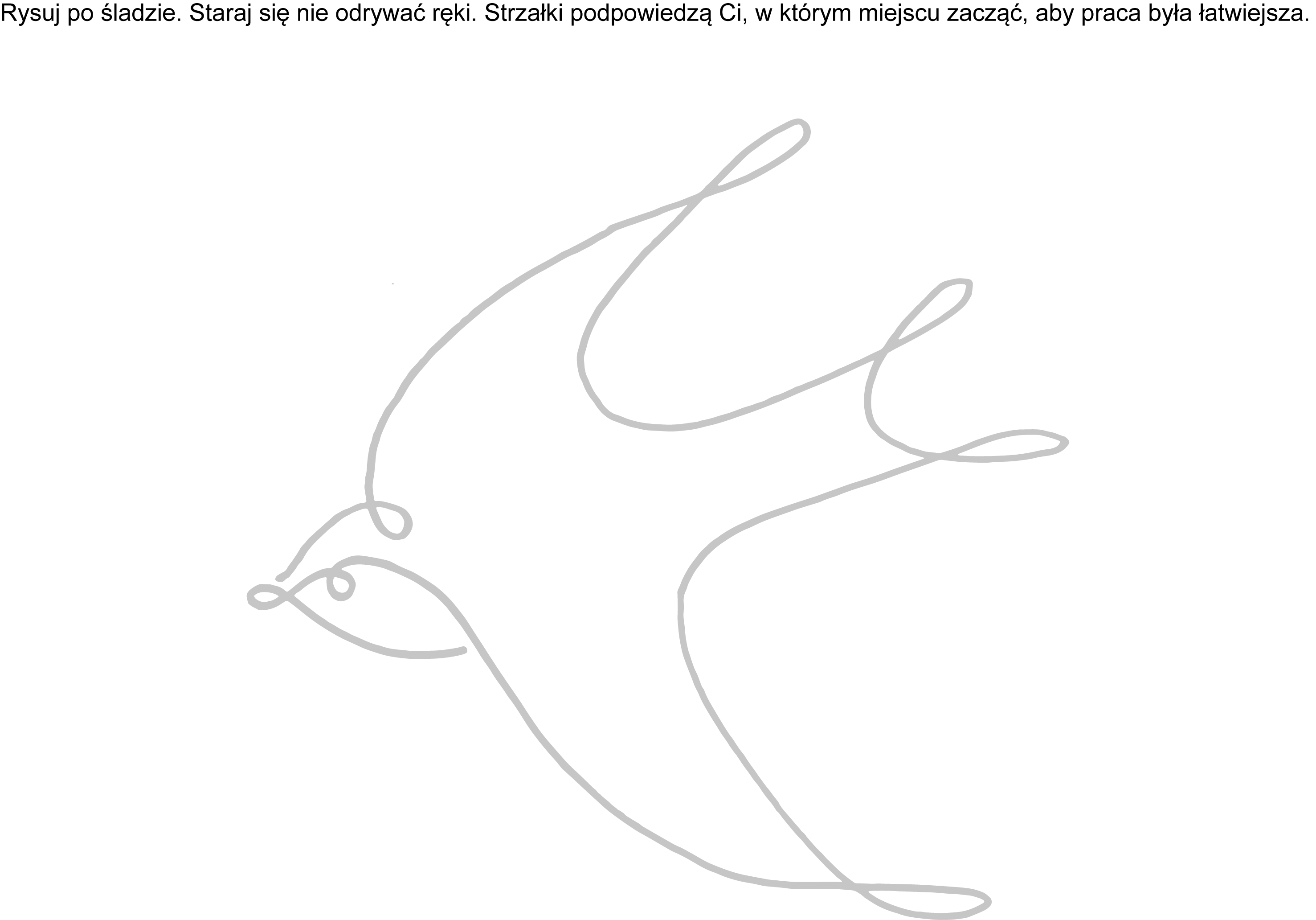 Jaskółka – Jakto.co